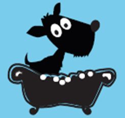 Gallery - Driven 2 Groom